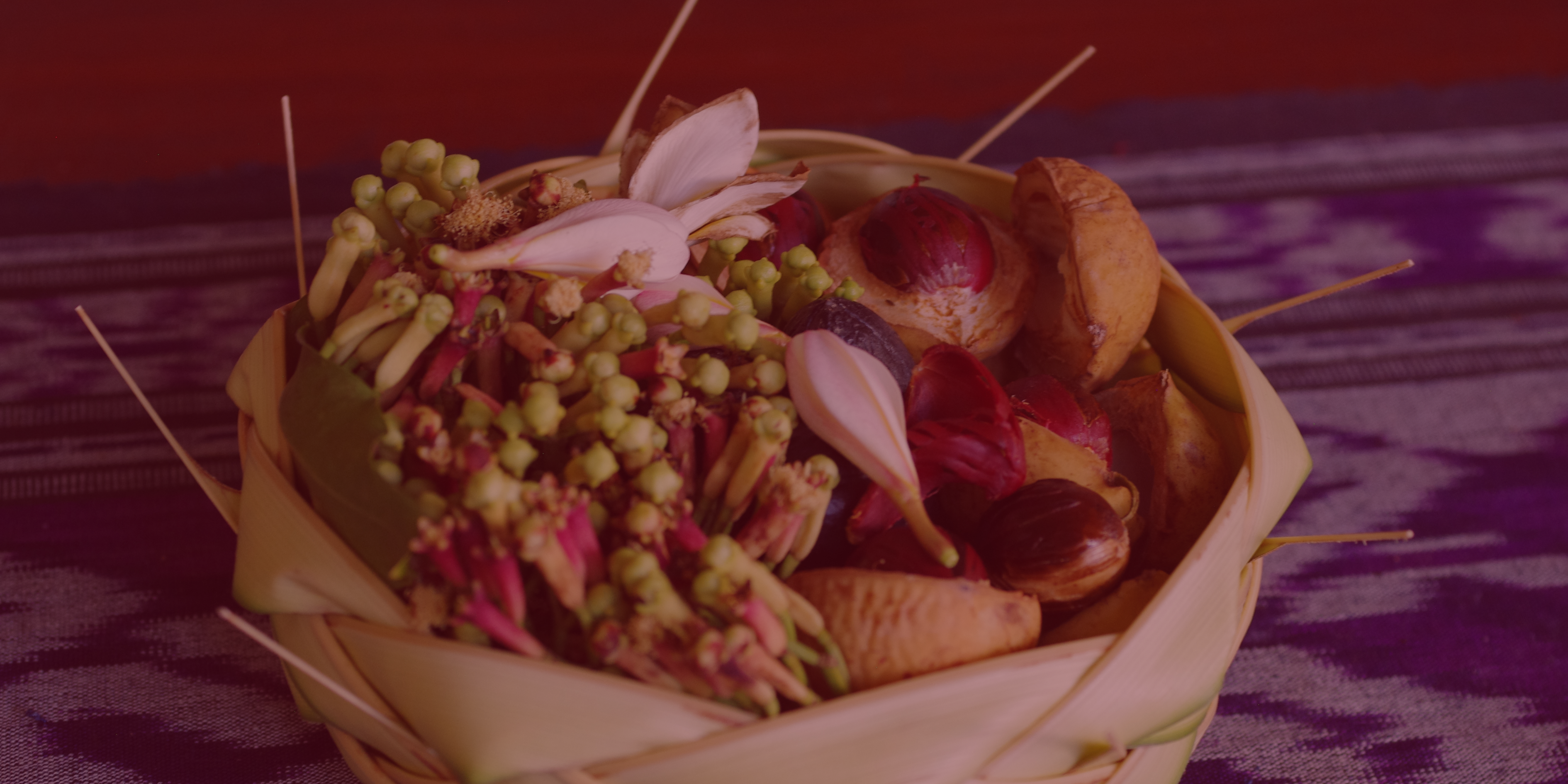 About – Banda Estate Spices